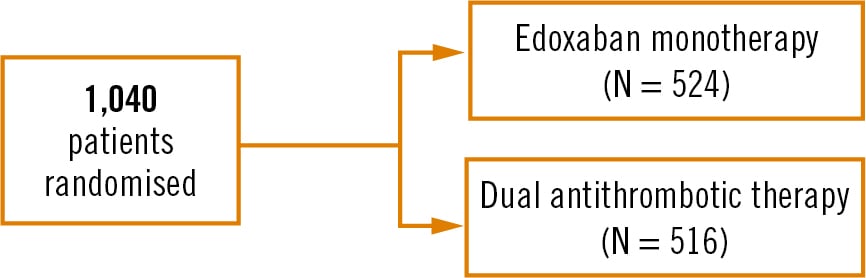 Edoxaban antithrombotic therapy for atrial fibrillation and stable ...